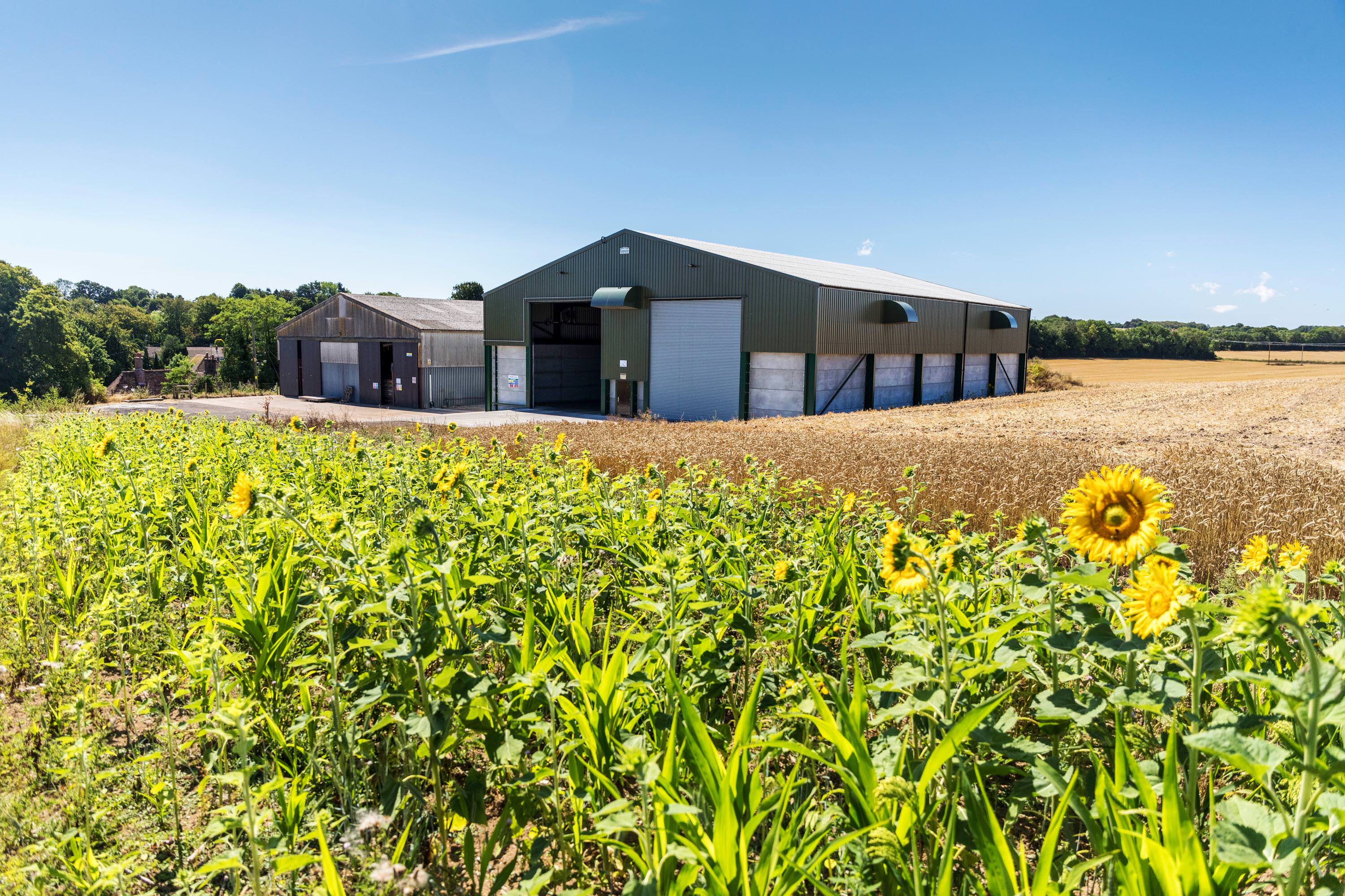 Kent Farmer of the Year runner up: Nonington Farms - Taste of Kent Awards